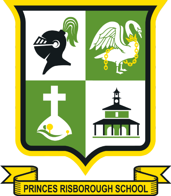 Insignis Academy Trust - New 3G Pitch and MUGA to open in Princes ...